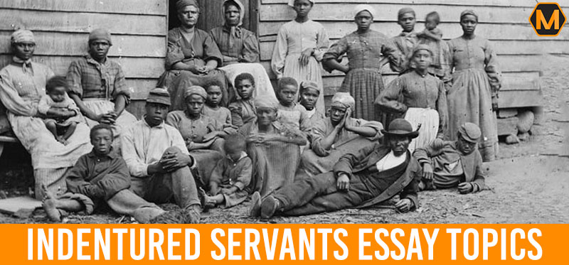 Indentured Servants Essay Topics | Historical Perspectives